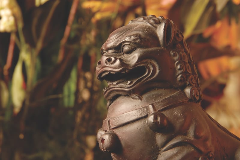 Dog Lover's Guide to Shanghai