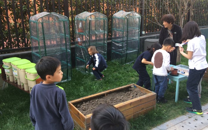 Concordia Composting: Nature in the Urban Jungle