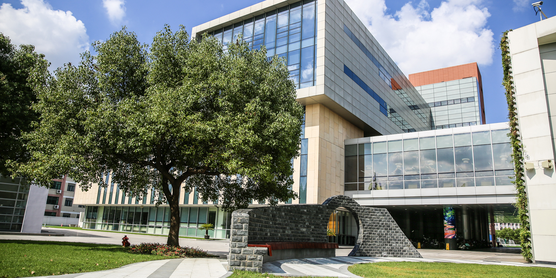 Advanced Placement at Concordia Shanghai Explained